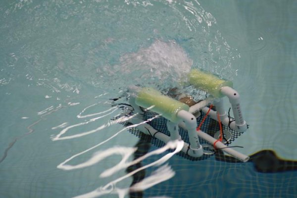 Student Teams Test Mini Robot Submarines in Chula Vista - Times of San ...