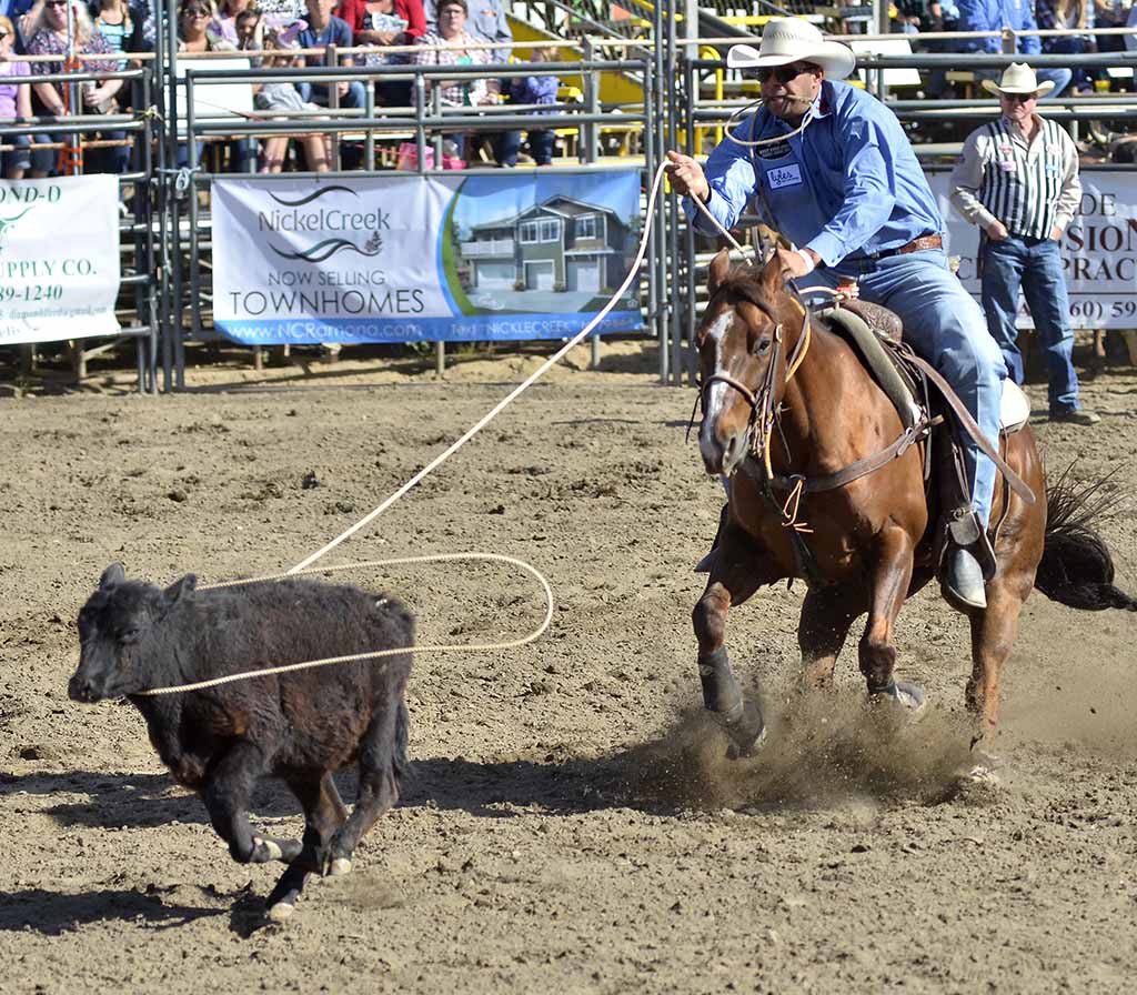 Barrels of Fun in Ramona: Rodeo Highlights in Photos - Times of San Diego