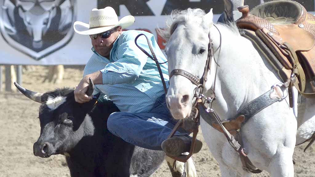 Barrels of Fun in Ramona: Rodeo Highlights in Photos - Times of San Diego