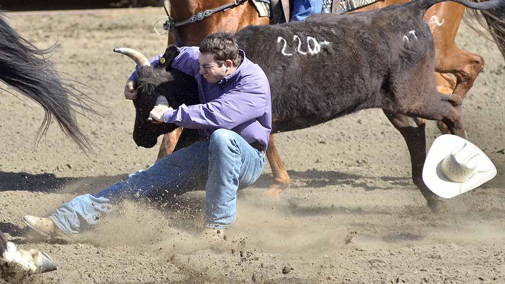 Barrels of Fun in Ramona: Rodeo Highlights in Photos - Times of San Diego