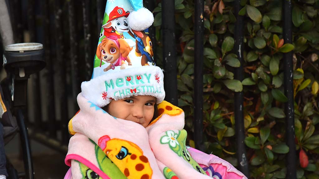 G'Day for Ocean Beach Holiday Parade: Draws International Cast of ...
