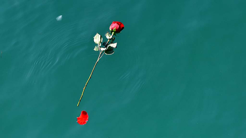 Walter Munk 'Would Be Really Stoked': A Scripps Farewell to Ocean ...