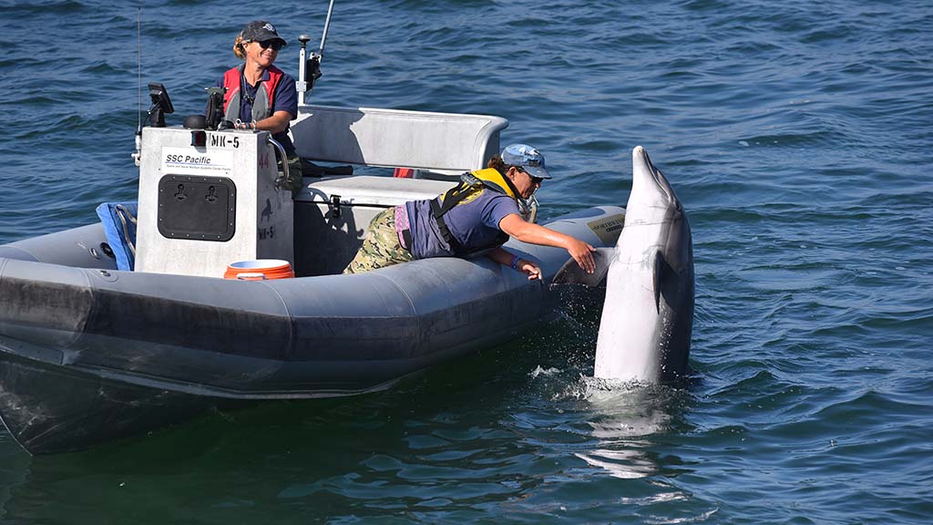 From Hanoi Hilton to Broadway Pier: An American POW's Lessons in ...