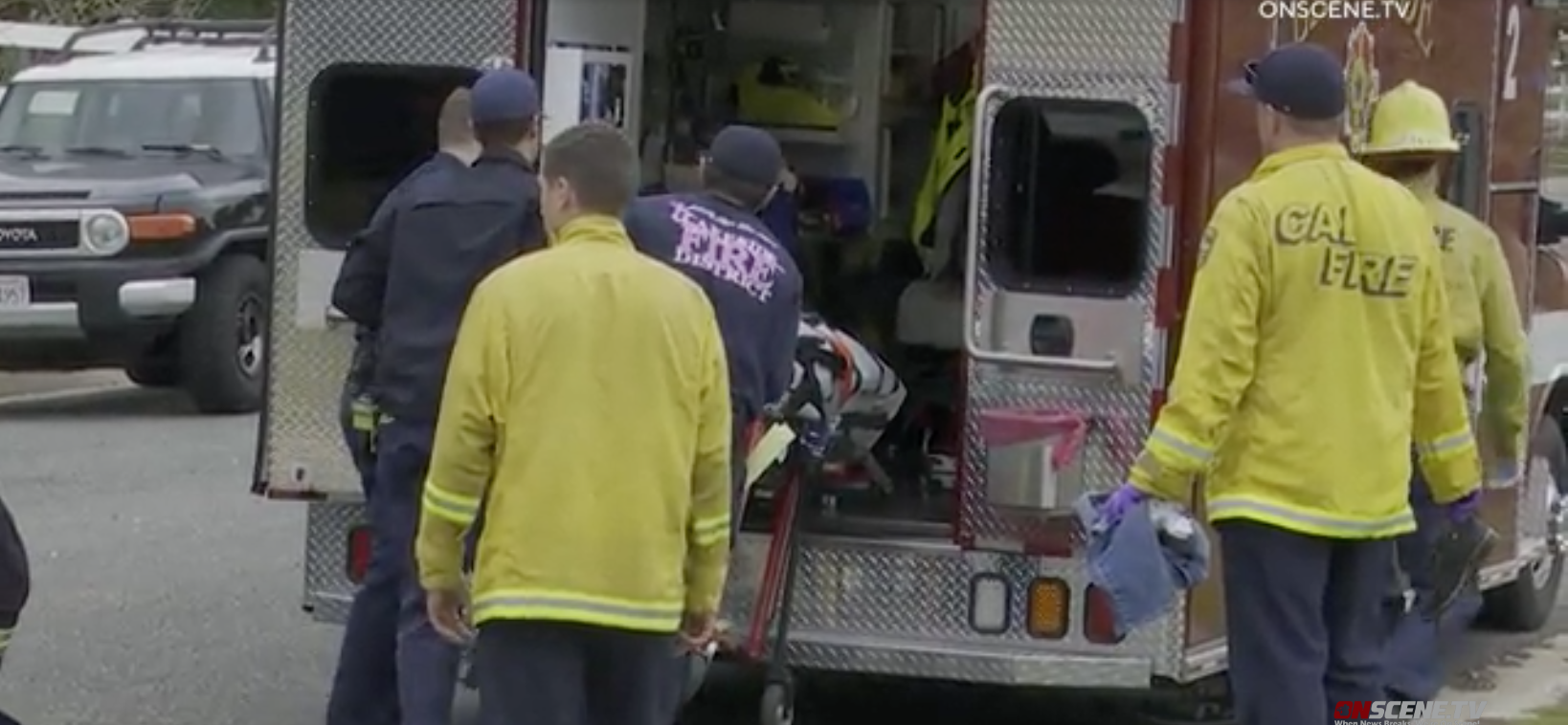 Equestrian Seriously Injured After Being Thrown from Horse in Blossom ...