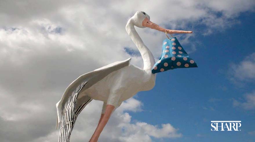 Stork at Sharp Mary Birch Hospital Turns 60 — Still Overseeing Parade ...