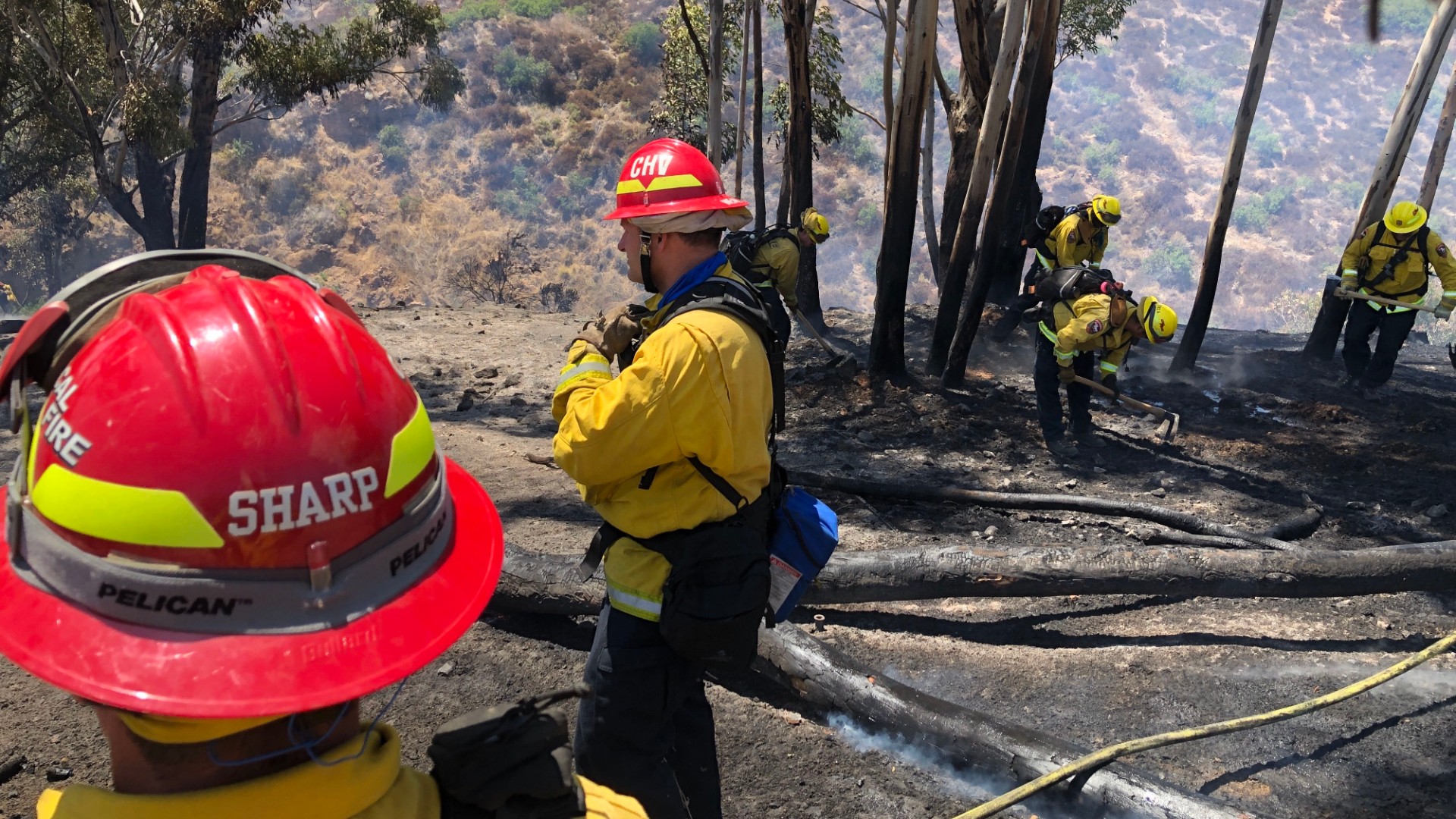 Crews Halt Spread of Vegetation Fire Near Sweetwater Reservoir - Times ...