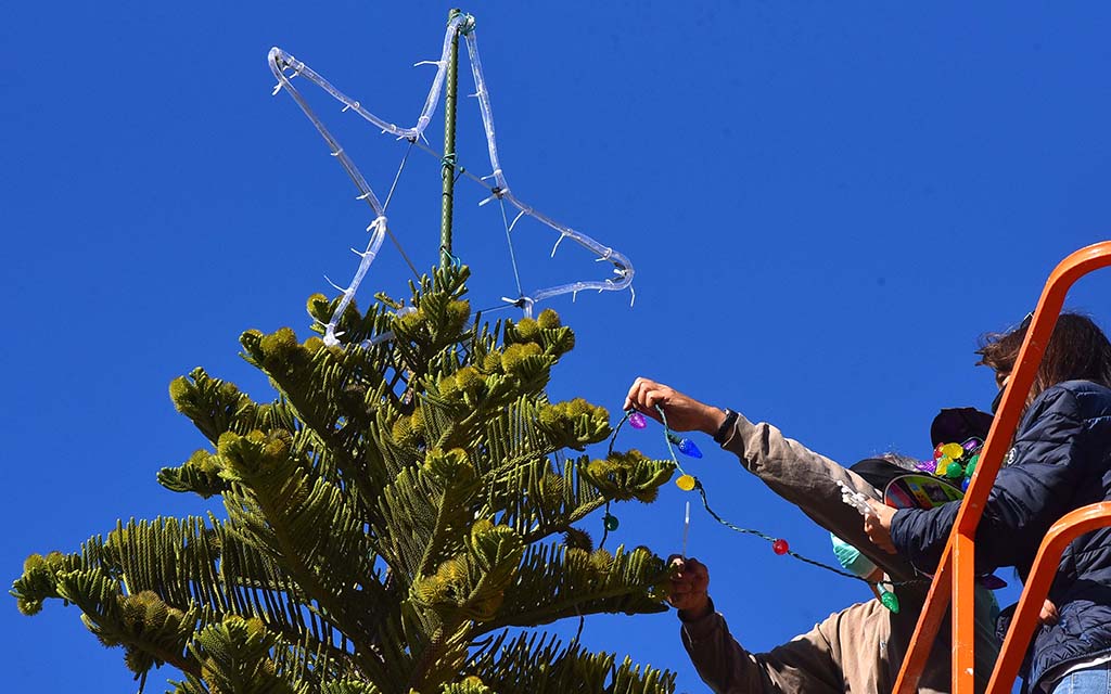 2020 'Stink, Stank, Stunk,' But Ocean Beach Christmas Tree Again Stars