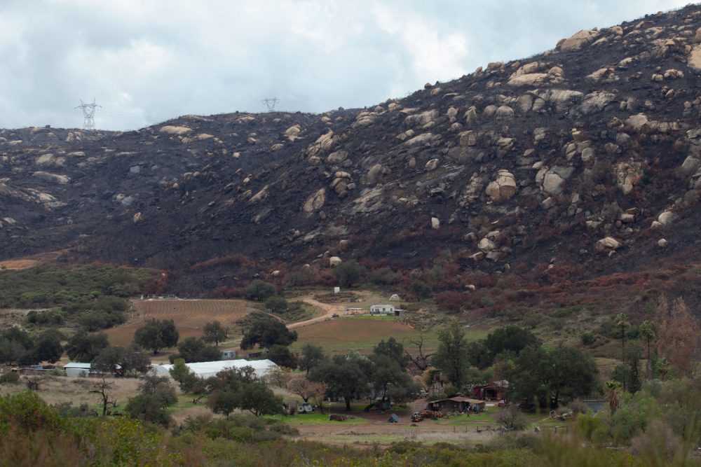 Conservation Groups Sue Alpine Park Project, Saying Planned Sports ...