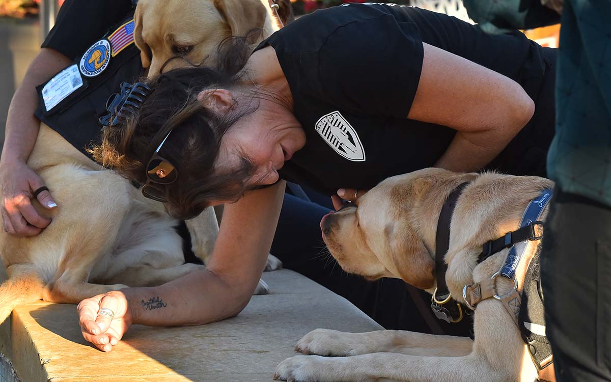 Dogs 'Look into Souls,' Comfort Police, SD Firefighters Suffering High ...
