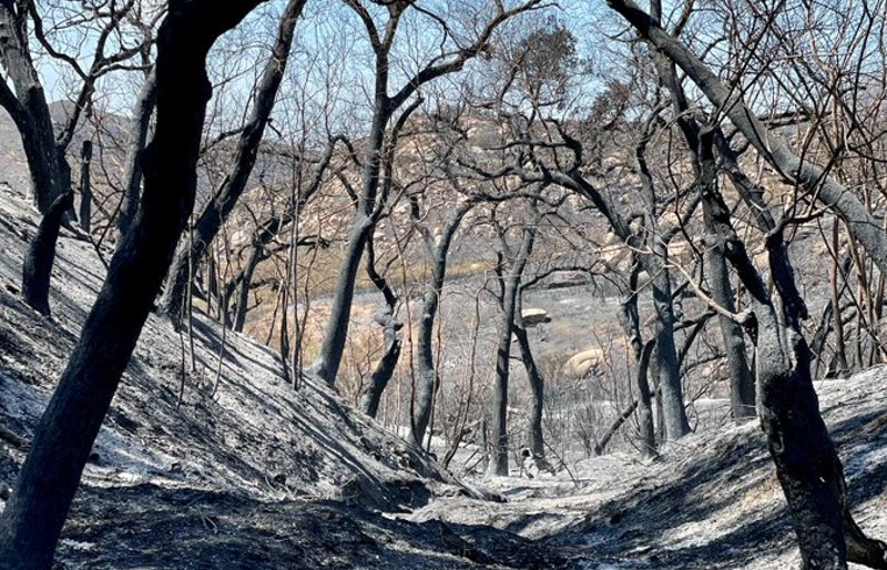 Wildfire Near Tecate Now 100% Contained, Evacuations Canceled - Times ...