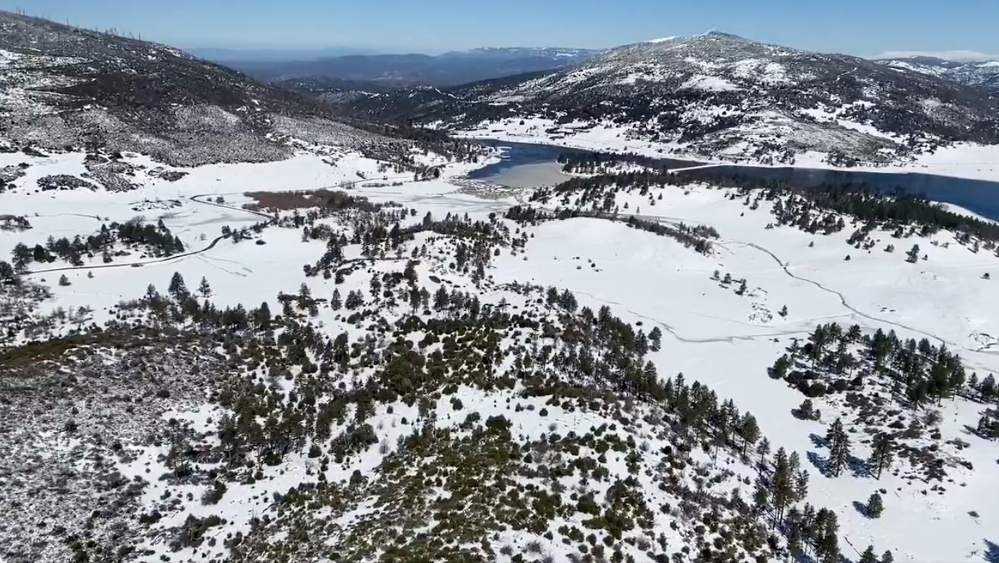 CHP Declares Sigalert Near Julian As Motorists Seeking Snow Stop, Clog ...