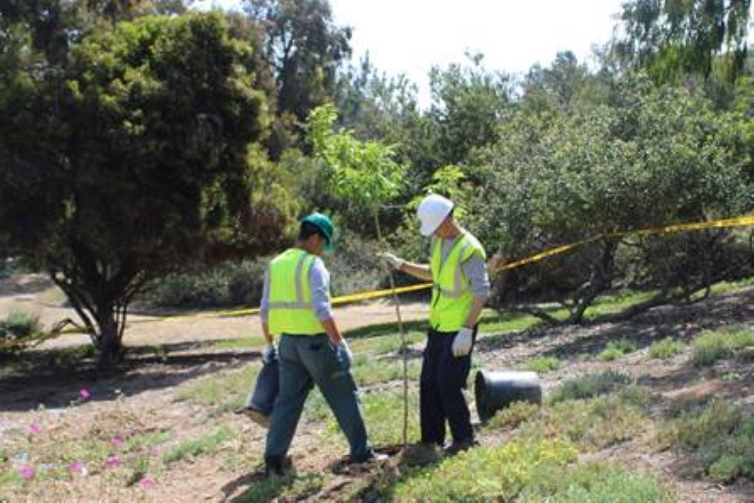 Urban Corps of San Diego Celebrates Arbor Day with 2,000 Trees Planted ...