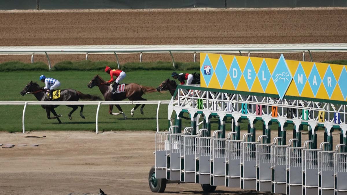 'Savanah Lady' Is Second Racehorse to Die at Del Mar in 3 Days - Times ...