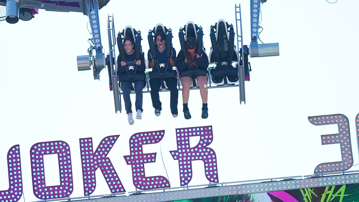 Fairly Big Numbers: 160K Chocolate Chip Cookies, Fast Trax Slide Top ...