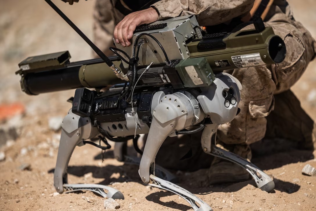 Marines Test Rocket-Carrying 'Robotic Goat' at Twentynine Palms - Times ...