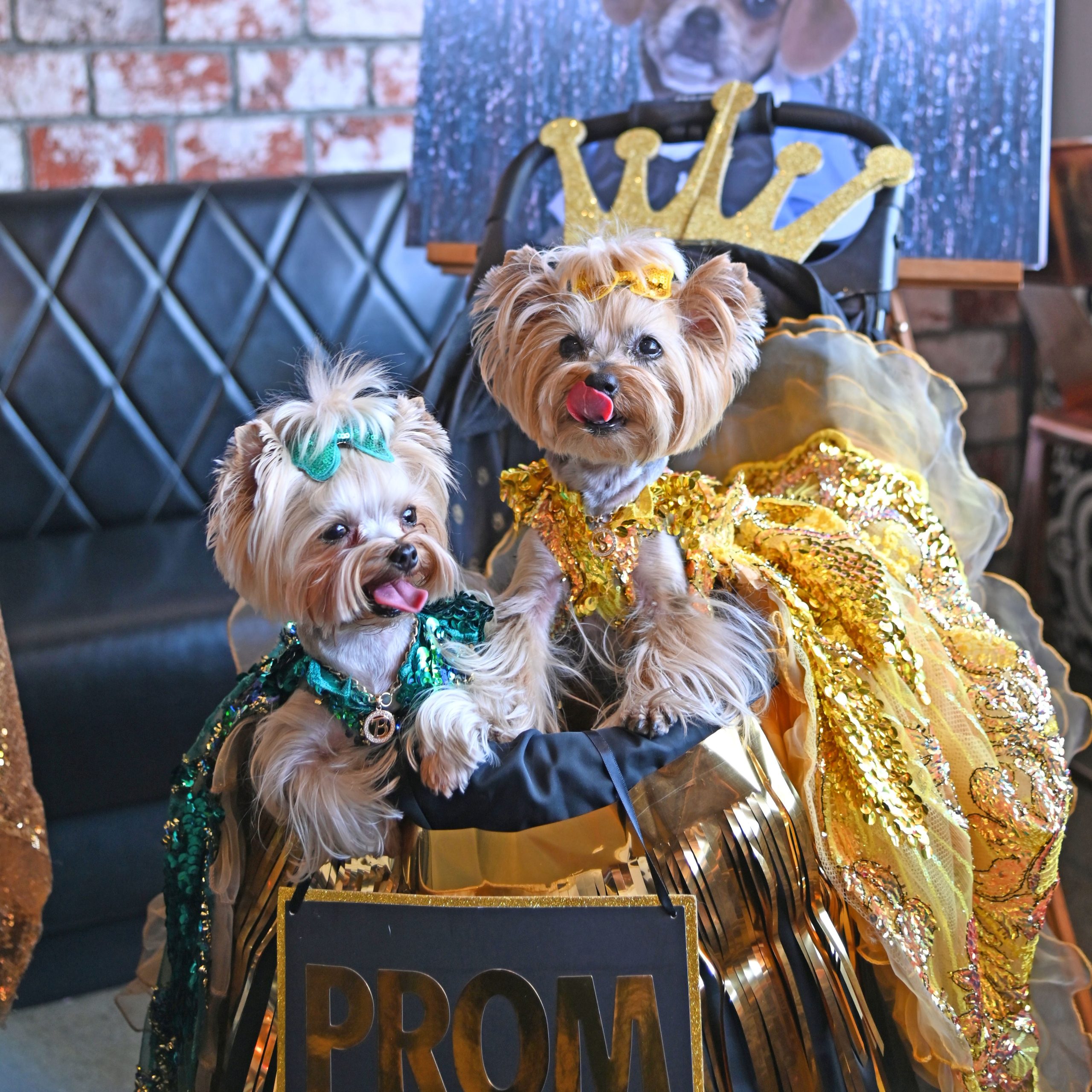Helen Woodward's 10th Annual Puppy Prom! on Saturday, May 18
