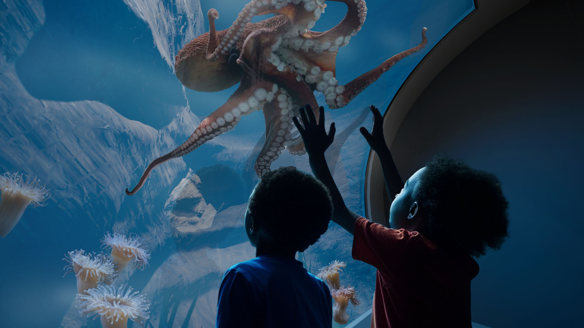 Living Seas Gallery officially opens at Birch Aquarium