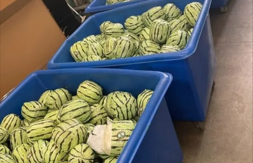 $5 Million in Meth Packages Disguised as Watermelons Seized at Otay ...