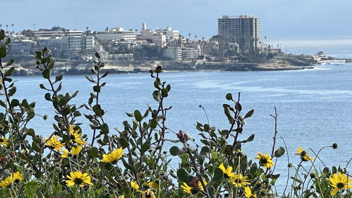 Best of Collection Page - Times of San Diego