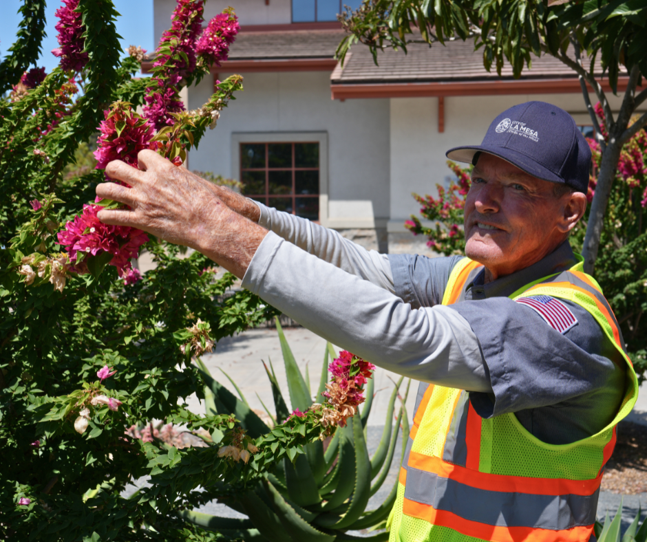 City of La Mesa recognized as age-friendly employer